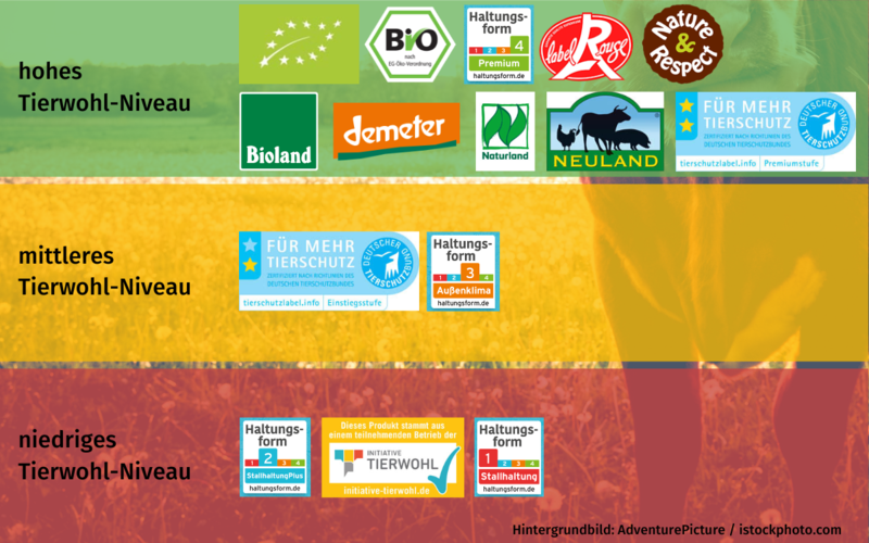 Wie gut ist welche Haltungsform: Was das Tierwohl-Label verrät