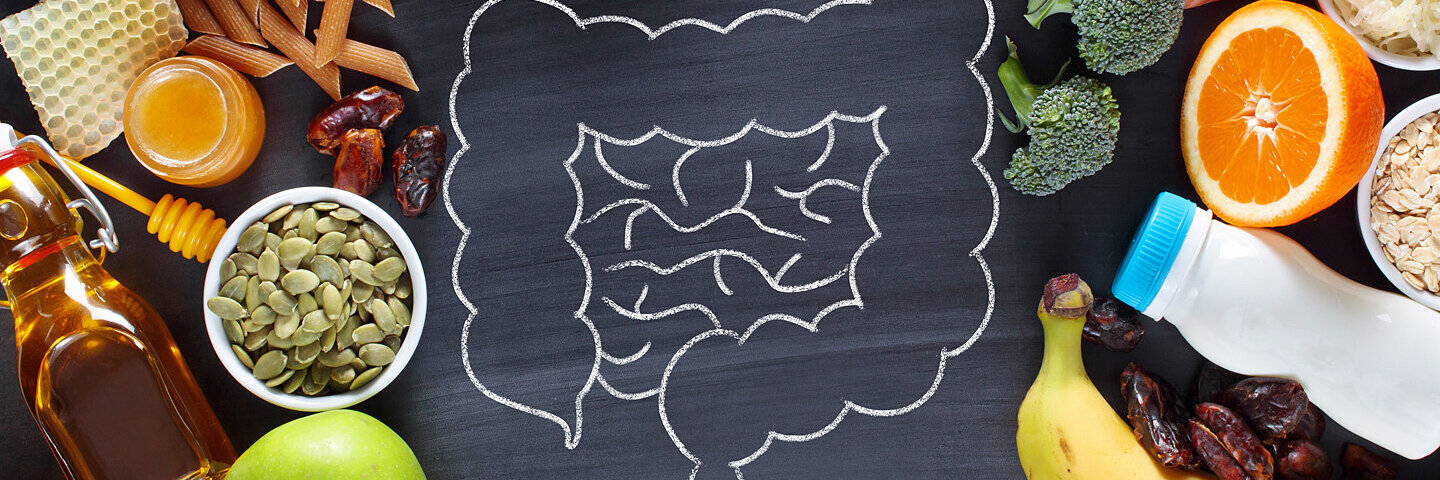 Der Darm: So wichtig ist er für die Gesundheit