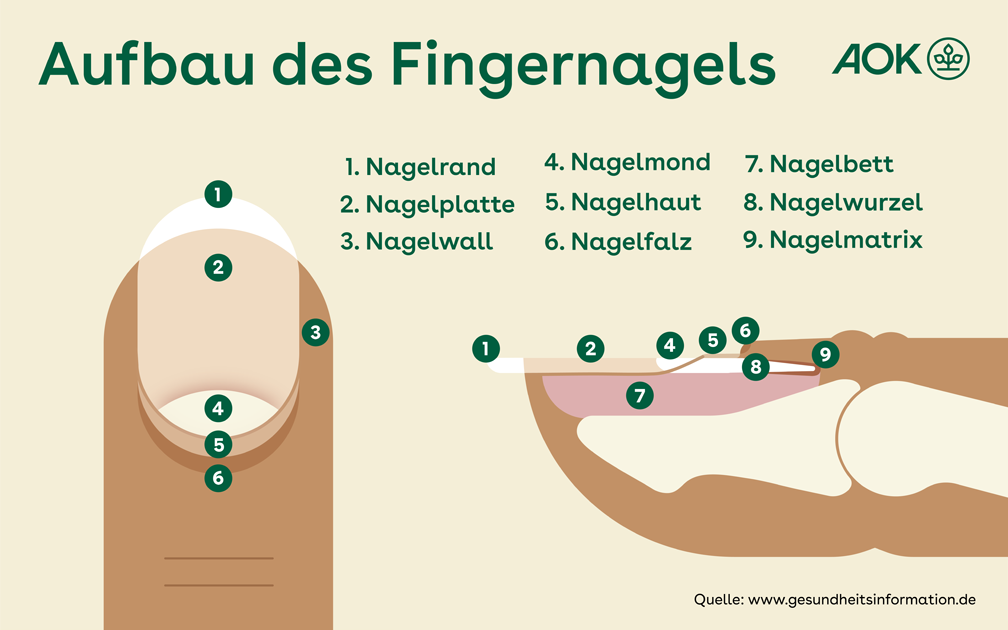 Behandlung Chronischer Paronychie Zu Hause